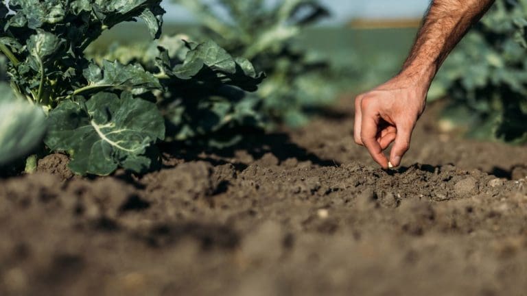 LA MARQUE DERRIÈRE LA MARQUE - BCI Foods